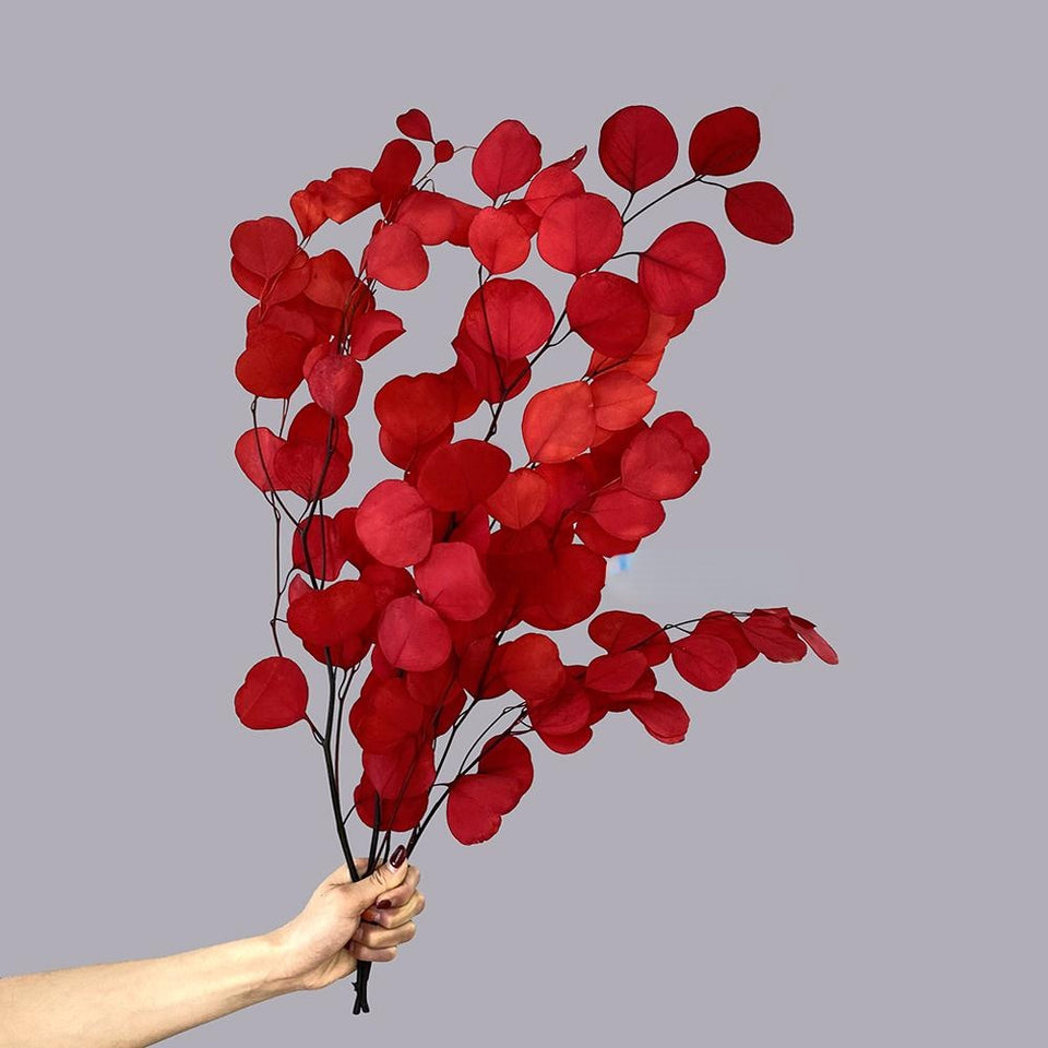 Dried Lunaria – LaFloria Home Décor
