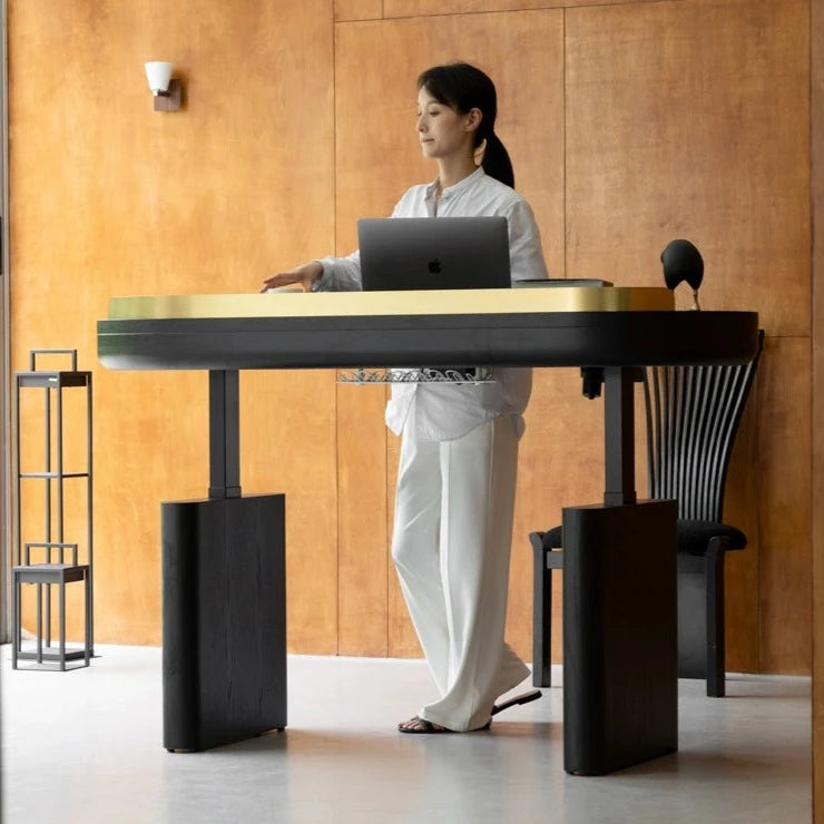 Marco Smart Liftable Desk – LaFloria Home Décor